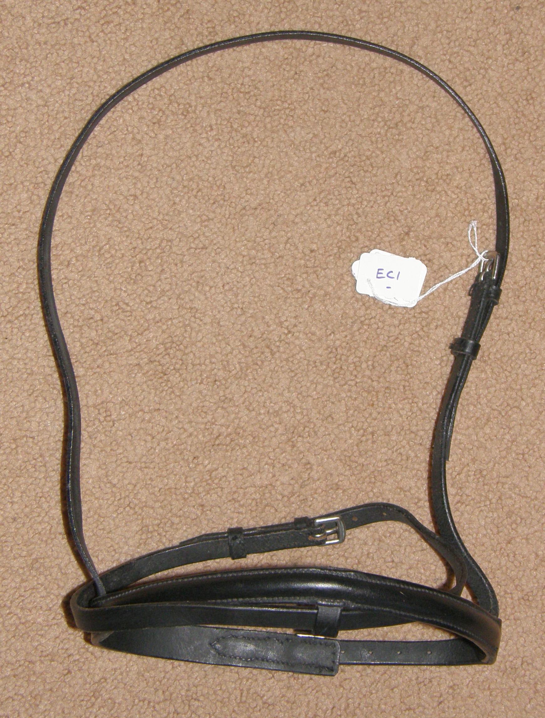 english cavesons pg3