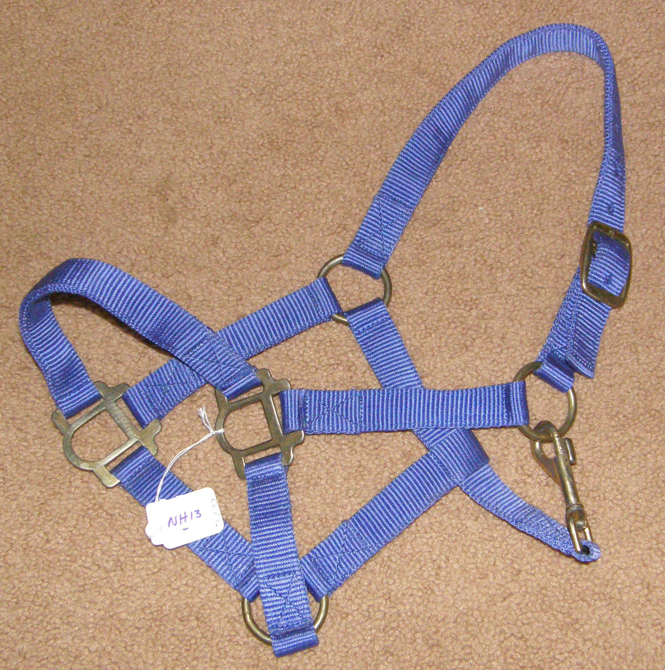 halters cob yearling