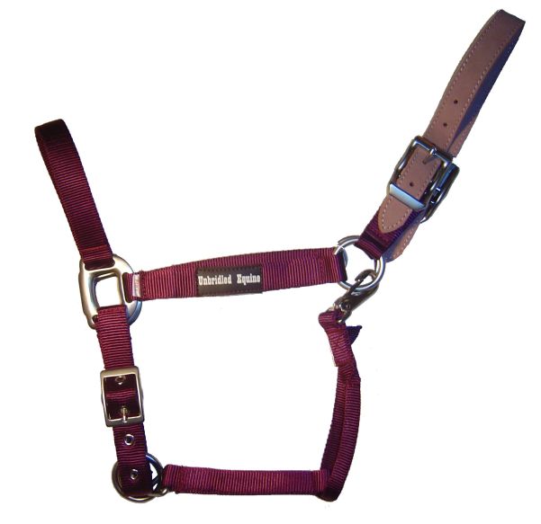 halters cob yearling