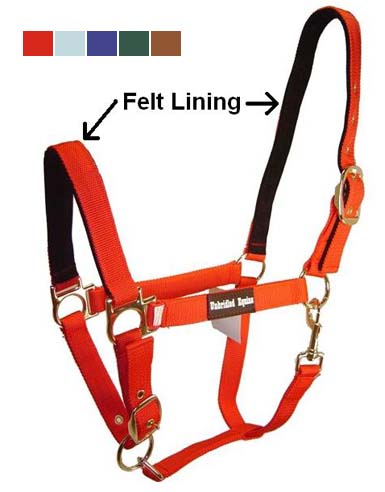 halters cob yearling