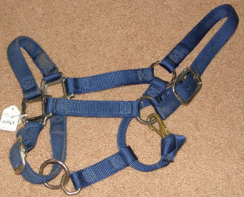 halters cob yearling