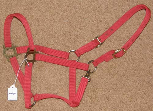 halters cob yearling