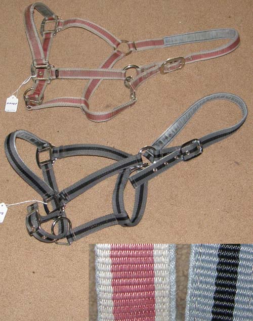 halters horse
