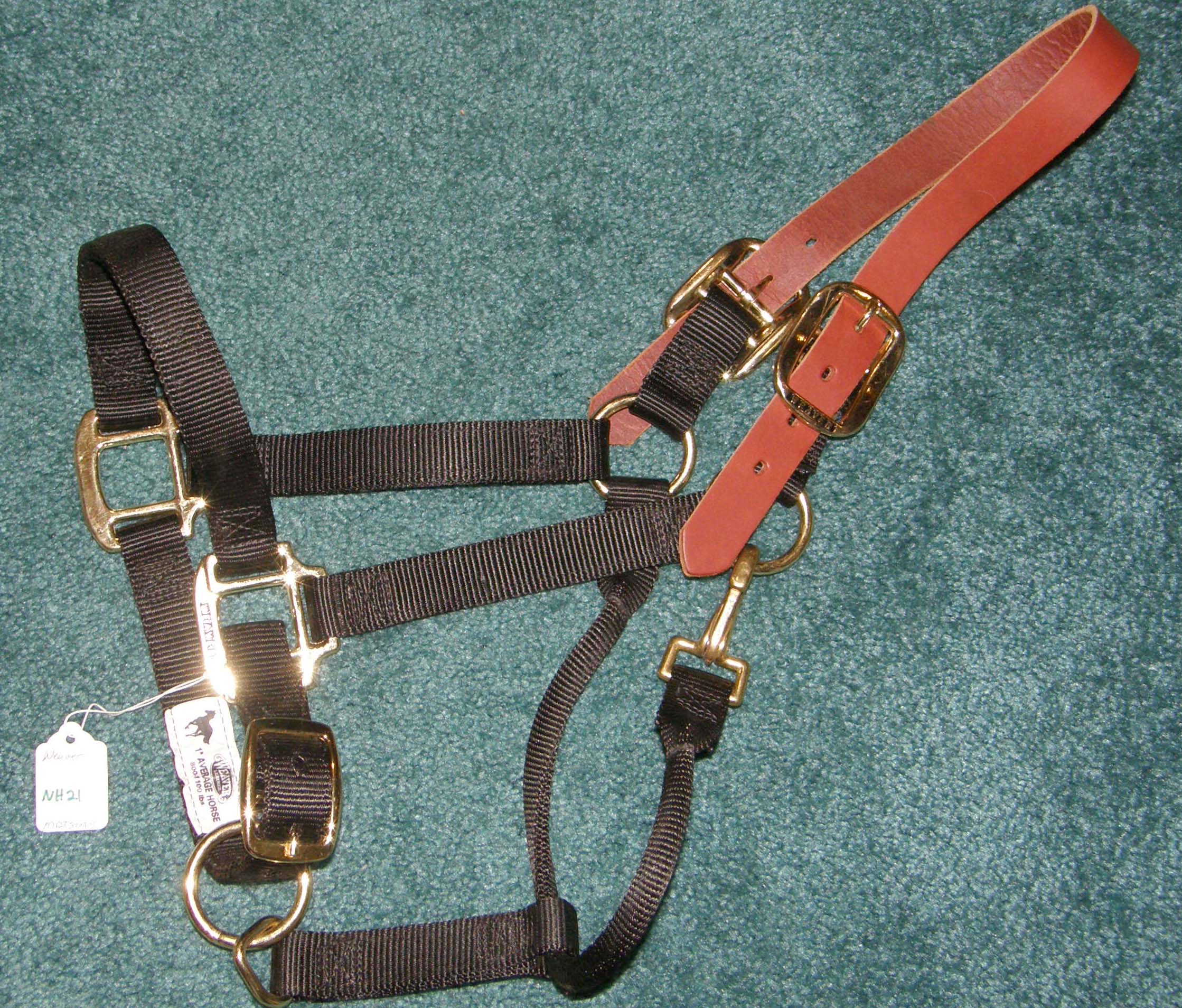 halters horse