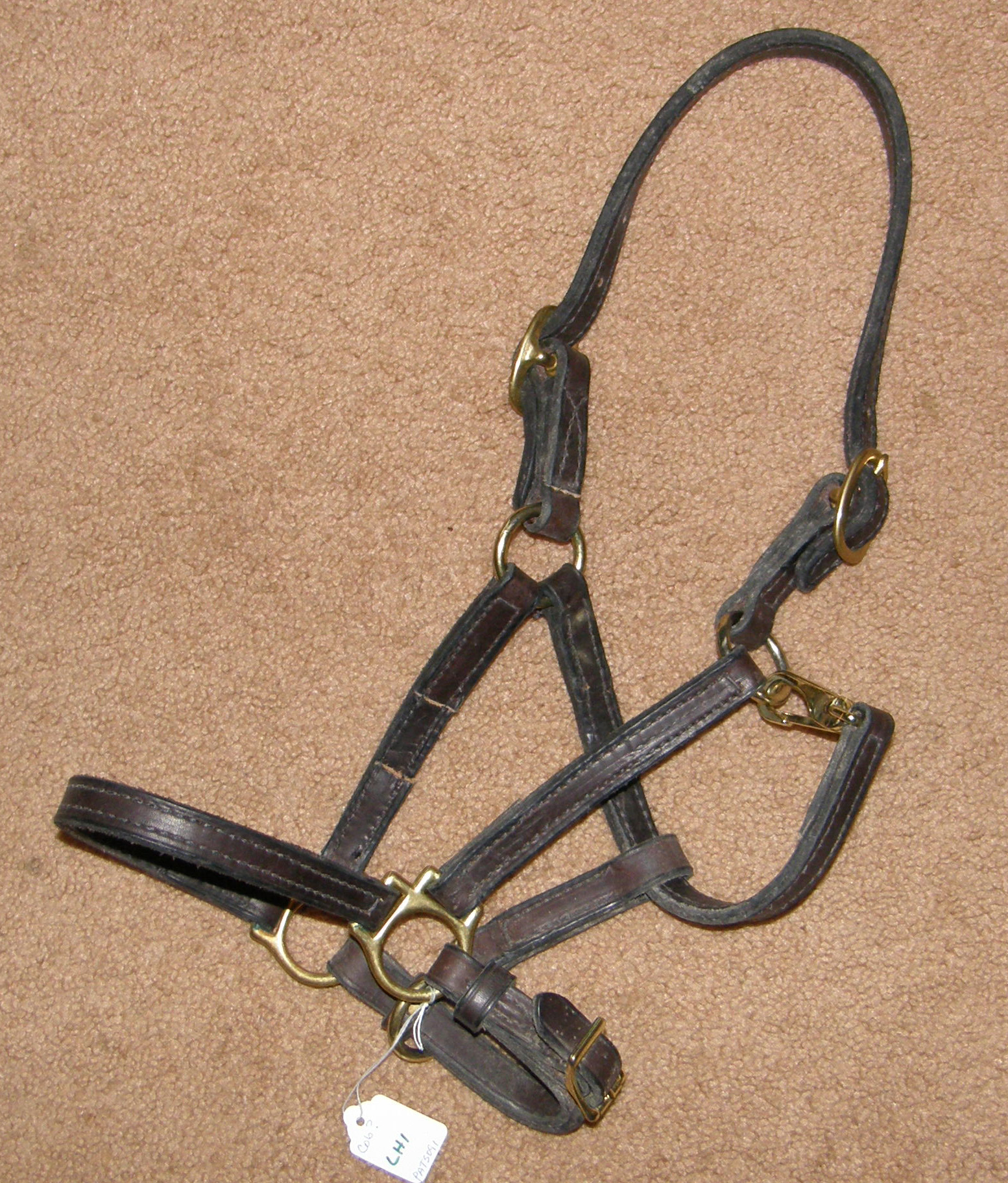 halters leather